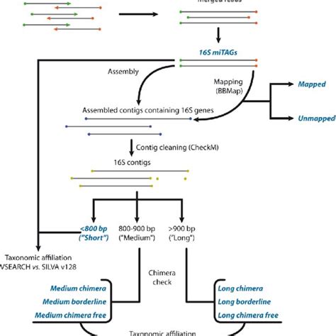 schematic representation of the pipeline implemented to process and download scientific diagram