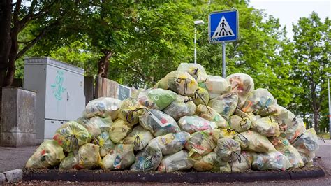 Strategies To Reduce Food Waste And Implement Sustainable Practices