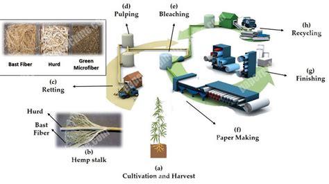 Jute Manufacturing Process