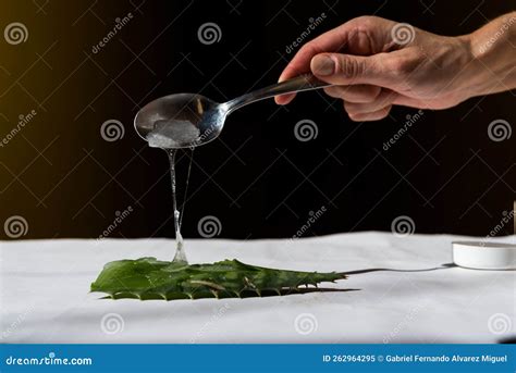Persona Tirando La Pulpa Aloe Vera En Una Hoja En La Mano Imagen De