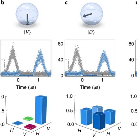 quantum memory for single photon polarization qubits a d the quantum download scientific