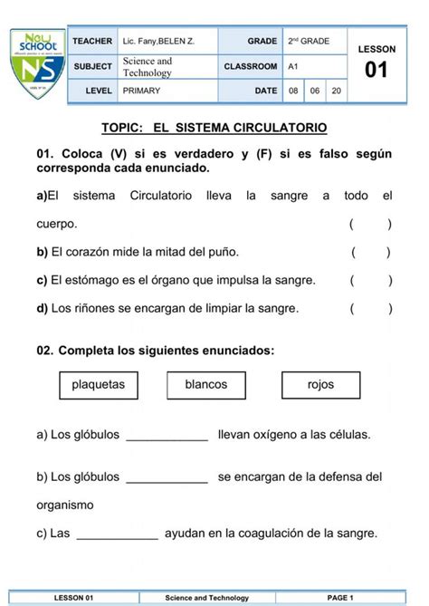 El Sistema Circulatorio Interactive Worksheet Sistema Circulatorio