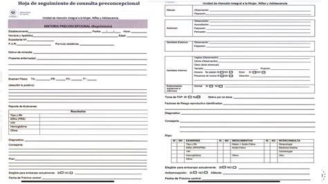 Lineamiento MATERNO 2023 ley nacer con cariño PPT