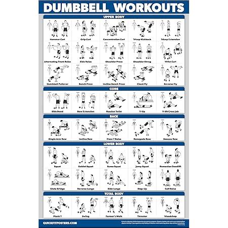 Vive Dumbbell Exercise Poster Home Gym Workout For Upper Lower Full