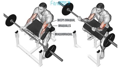 Curl de bíceps Cómo hacerlo Beneficios y Variantes