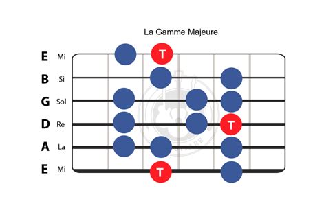 Les Gammes La Guitare Le Guide Visuel Pour Tout Comprendre Et Tout
