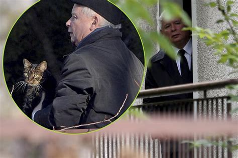 Tak żyje Jarosław Kaczyński Czas wolny wypełniają mu nie tylko koty
