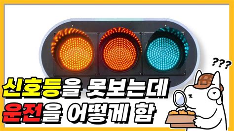 빨간불이야 노란불이야 신호등을 못 보는 적록색약자가 운전하는 방법ㅣ진돌썰화 YouTube