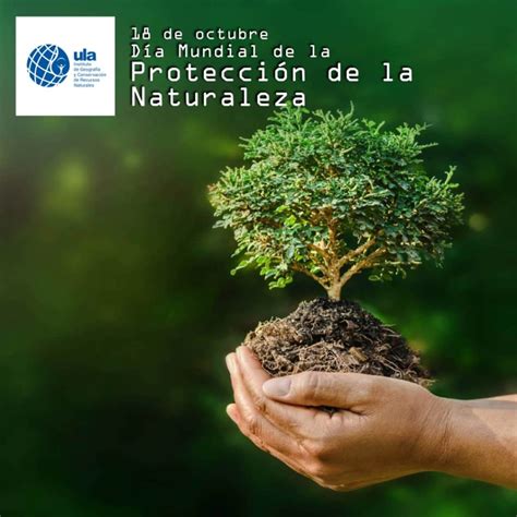 Día Mundial de la Protección de la Naturaleza Instituto de Geografía