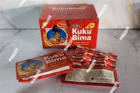 Box Kuku Bima Tl Formula Baru Tribulus Kapsul Sidomuncul Isi