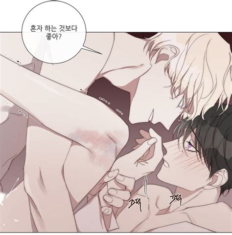 투디갤 ㅎㅂ 벨툰 수위 짤털