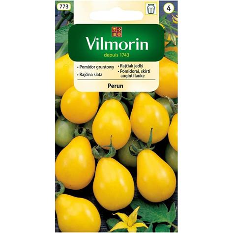Pomidor Gruntowy Wysoki Perun 0 5g Koktajlowy Vilmorin