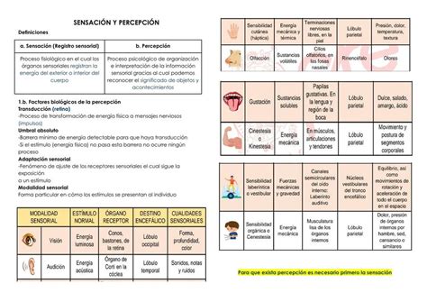 Sensación y percepción Postulante a Derecho uDocz