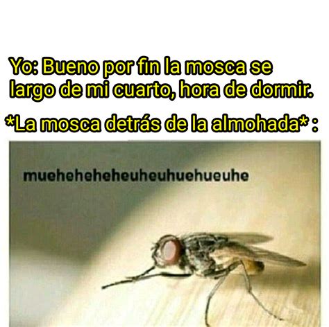 Y Por Prend Mi Casa Meme Subido Por Elvaron Memedroid