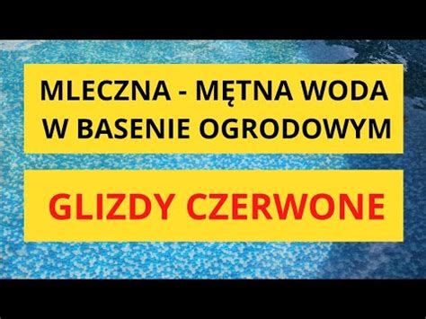 MLECZNA MĘTNA WODA W BASENIE i GLIZDY YouTube