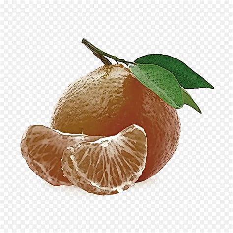 Png Png