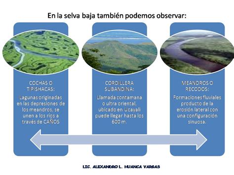 Geografito Alexandrito Material De Clase Relieve De La Selva