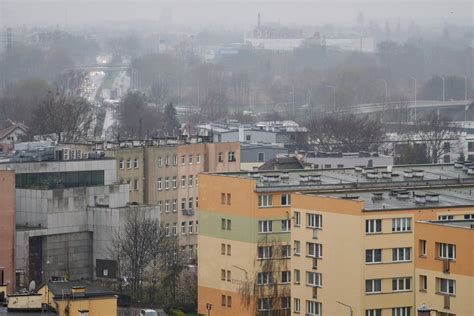 Psie Pole Jakiego Nie Widzieli Cie Zdj Cia Z Lotu Ptaka Du O Zdj