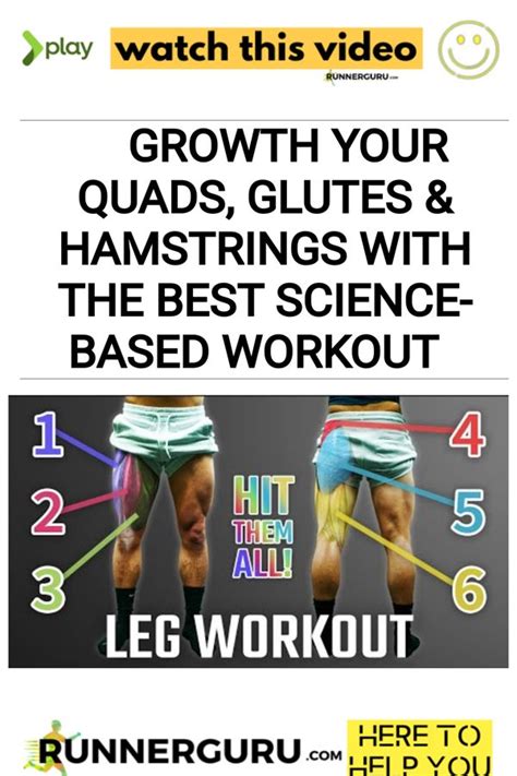 Growth Your Quads Glutes Hamstrings With The Best Science Based