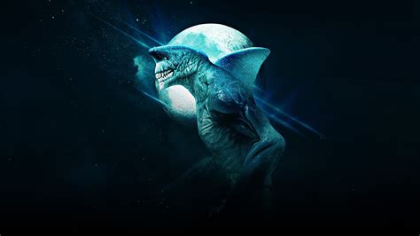 Watch Shark Side Of The Moon Trailer Free Movies Tubi