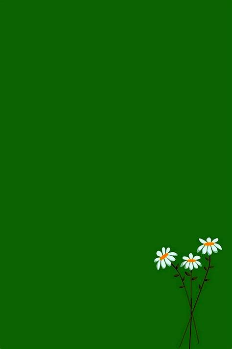 Sage Green Daisy Wallpapers WallpapersHigh