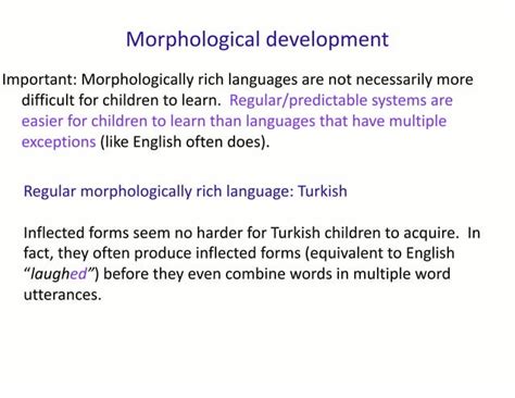 Description Of Morphology Types Development And Examples PPT