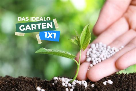 Garten 1x1 Kompost anlegen und Abfall in Dünger verwandeln