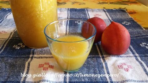 Succo Di Frutta Fatto In Casa Limone E Zenzero