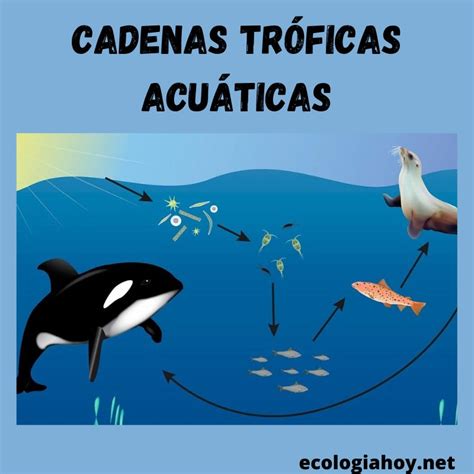 ecologiahoy net 3 Ecología Hoy