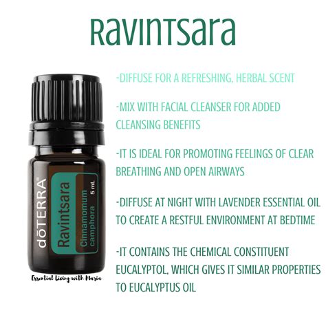 Tous Les Bienfaits De L Huile Essentielle De Ravintsara Artofit