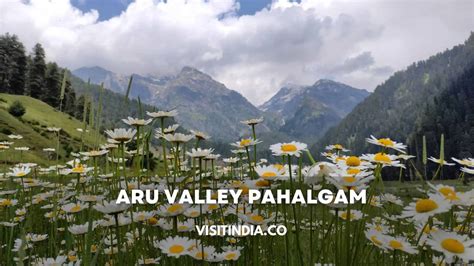 Exploring Aru Valley Timings Entry Fee Things To Do Distance