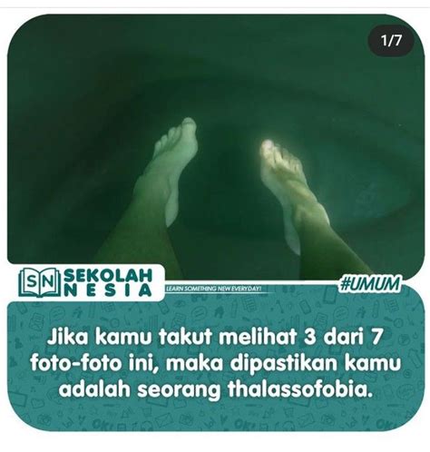 Pin Oleh Windy Zuith Di 5 Fakta Motivasi Semuanya Lucu Belajar