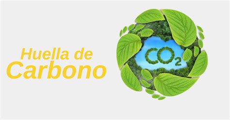 Calcula La Huella De Carbono De Tu Empresa O Destino