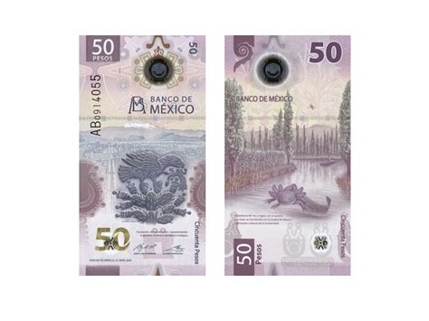 El billete de 50 pesos con el ajolote es el más bonito del mundo según