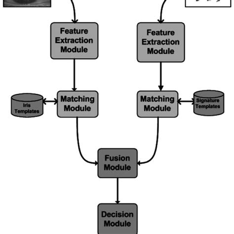 multi modal biometrics system iris and signature download scientific diagram