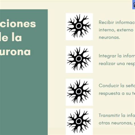 Agacharse Para un día de viaje engranaje cuales son las partes de las