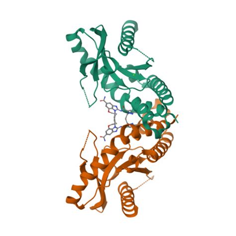RCSB PDB 7T9U Crystal Structure Of HSTING With An Agonist SHR169224
