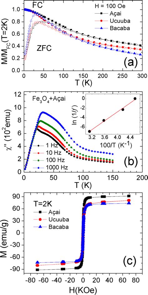 A Temperature Dependence Of Magnetization For Fe3O4 Nanoparticles