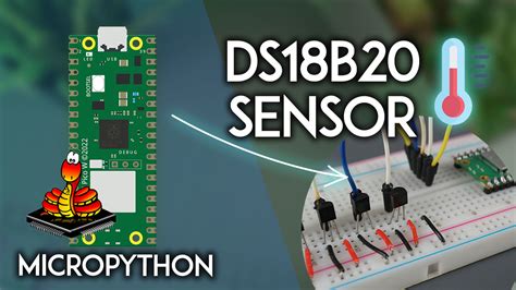 raspberry pi pico ds18b20 temperature sensor micropython random nerd tutorials