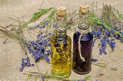 ACEITE Esencial DE LAVANDA COMO USARLO Y Propiedades