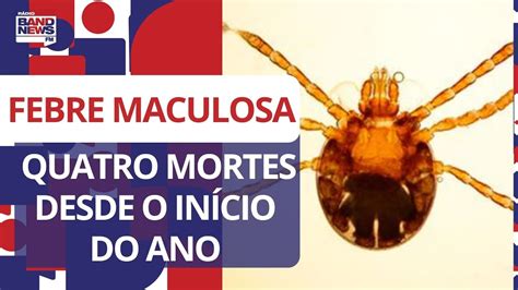 Febre maculosa em São Paulo quatro mortes desde o início do ano YouTube