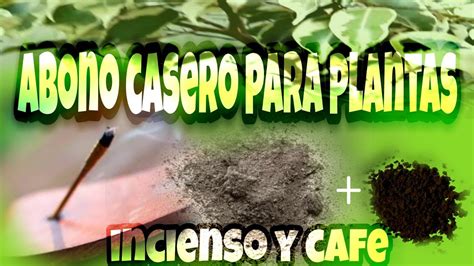 Abono casero fertilizante orgánico para plantas con ceniza de incienso