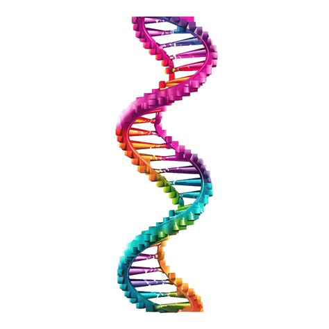Dna Molecule Spiral Cartoon Chromosome Genetic Science PNG