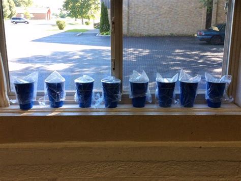 Water Cycle Demonstration For Farm Daze