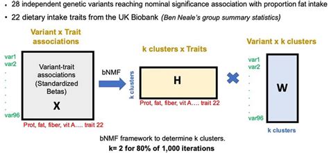 schematic overview of the bayesian nonnegative matrix factorization download scientific diagram