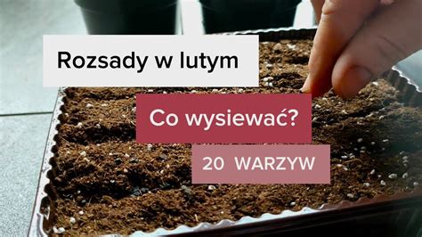 Rozsady w lutym co wysiewać 20 warzyw do wysiania w lutym YouTube
