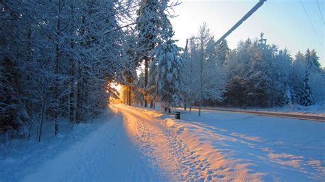 Bakgrundsbilder solljus landskap skog natur himmel snö vinter