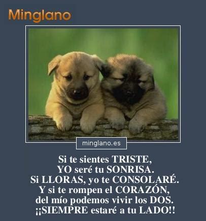 IMÁGENES de PERROS con FRASES DIVERTIDAS