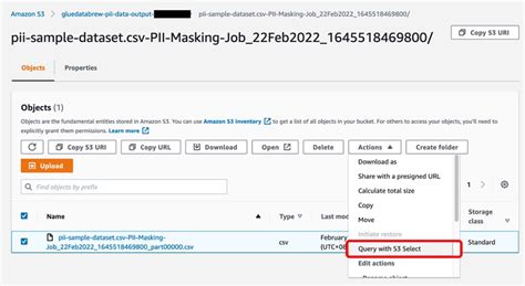 build a data pipeline to automatically discover and mask pii data with aws glue databrew noise