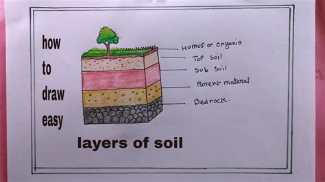 How To Draw Layers Of Soil Diagram Soil Profile Drawing YouTube